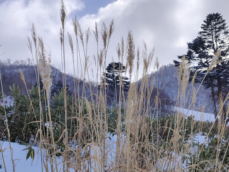 First Day at Mount Teine, Hokkaido | SAPPORO CITY DOT COM